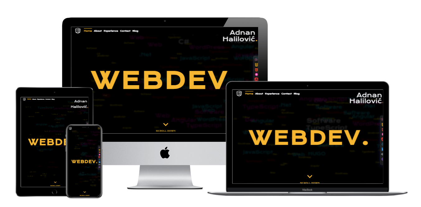 Adnan Halilovic - Team Lead Software Developer